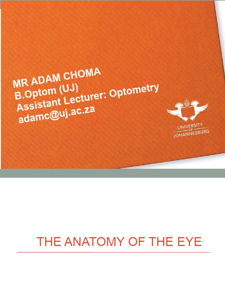 Section 1 - An Introduction To Anatomy and Function of The Eye | PDF ...