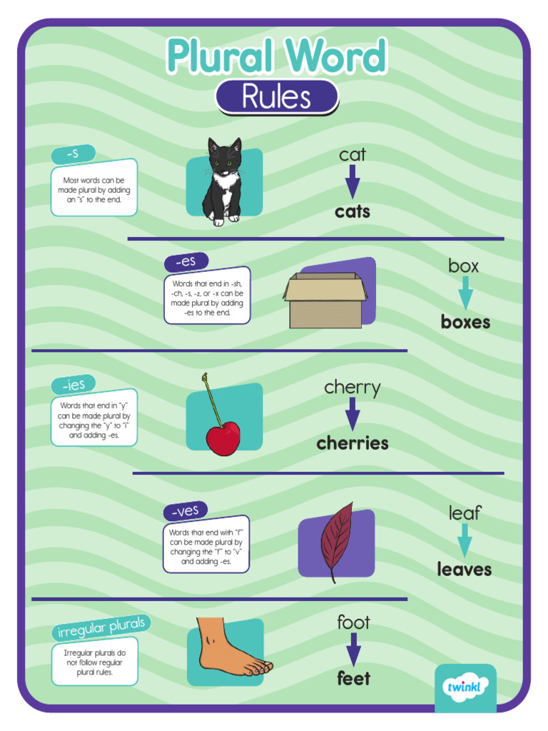 Color Plural Word Rules Visual Chart | PDF