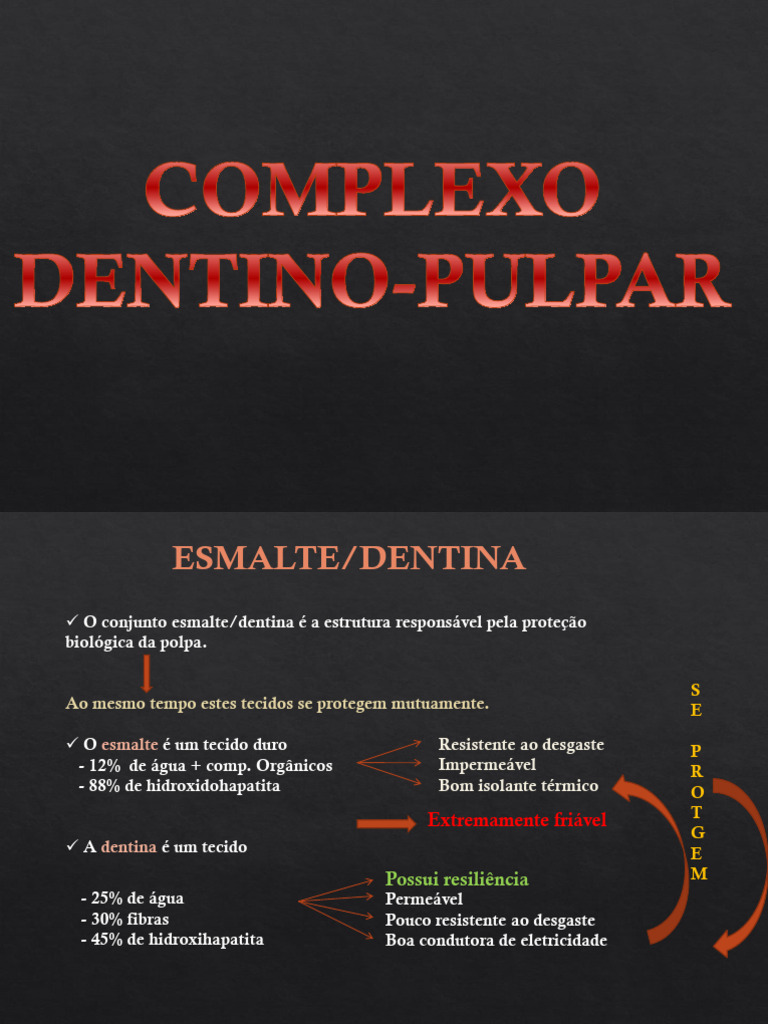 Complexo Dentino Pulpar | PDF | Dentina