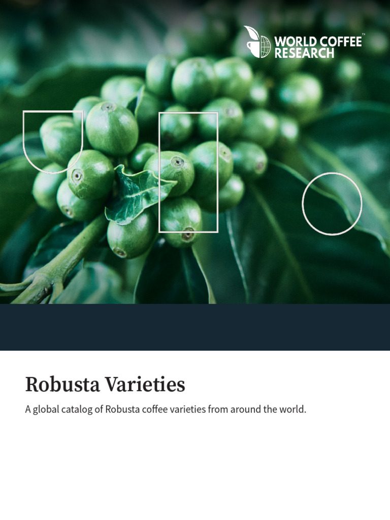 WCR Catalog - Robusta | PDF | Botany | Plants