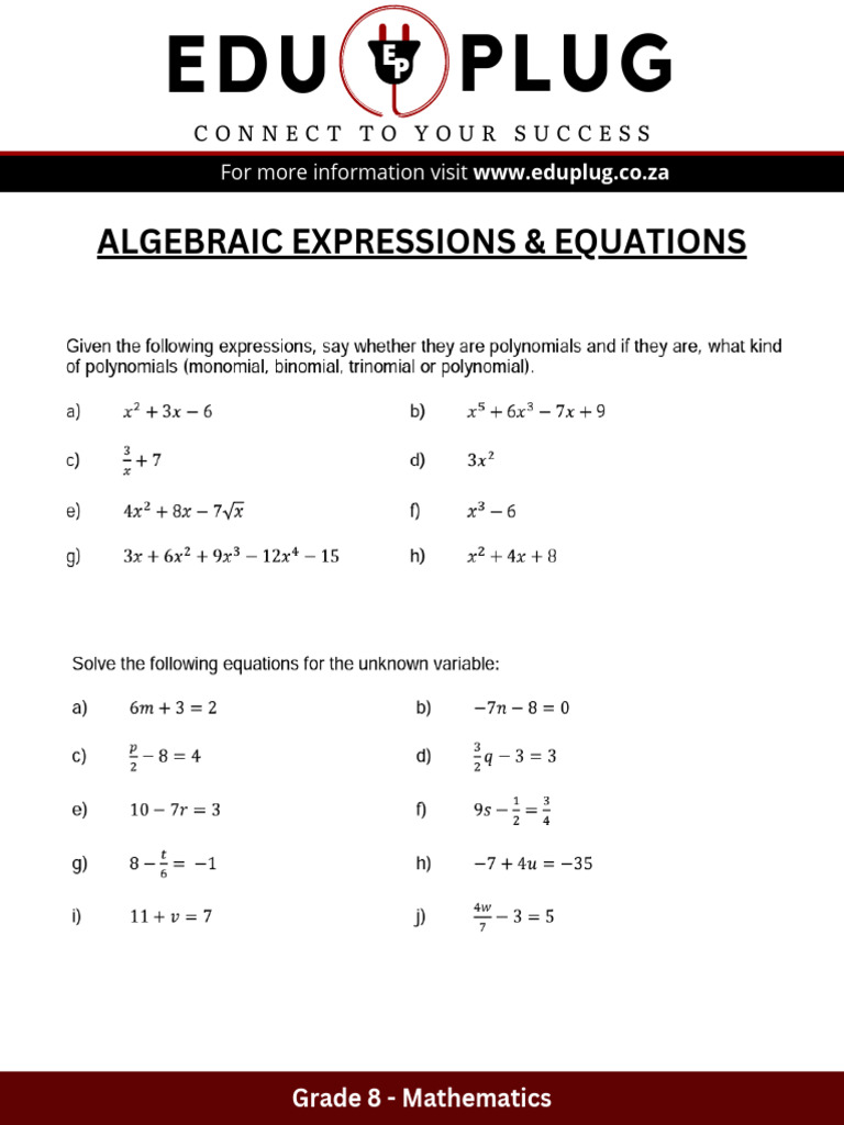 Grade 8 - Algebraic Expressions & Equations | PDF
