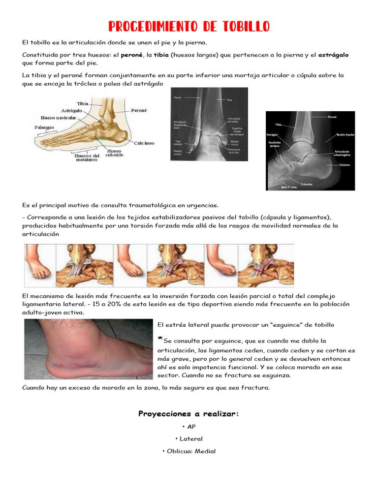 Longitudinal Del Tobillo Pdf – Exploración Física Tobillo Y Pie – PHXXJH