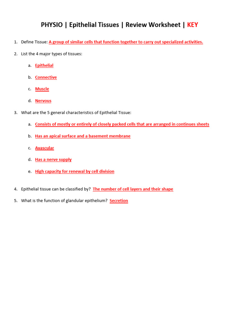 Epithelial Tissue Review Worksheet KEY - PHYSIO | PDF | Epithelium ...