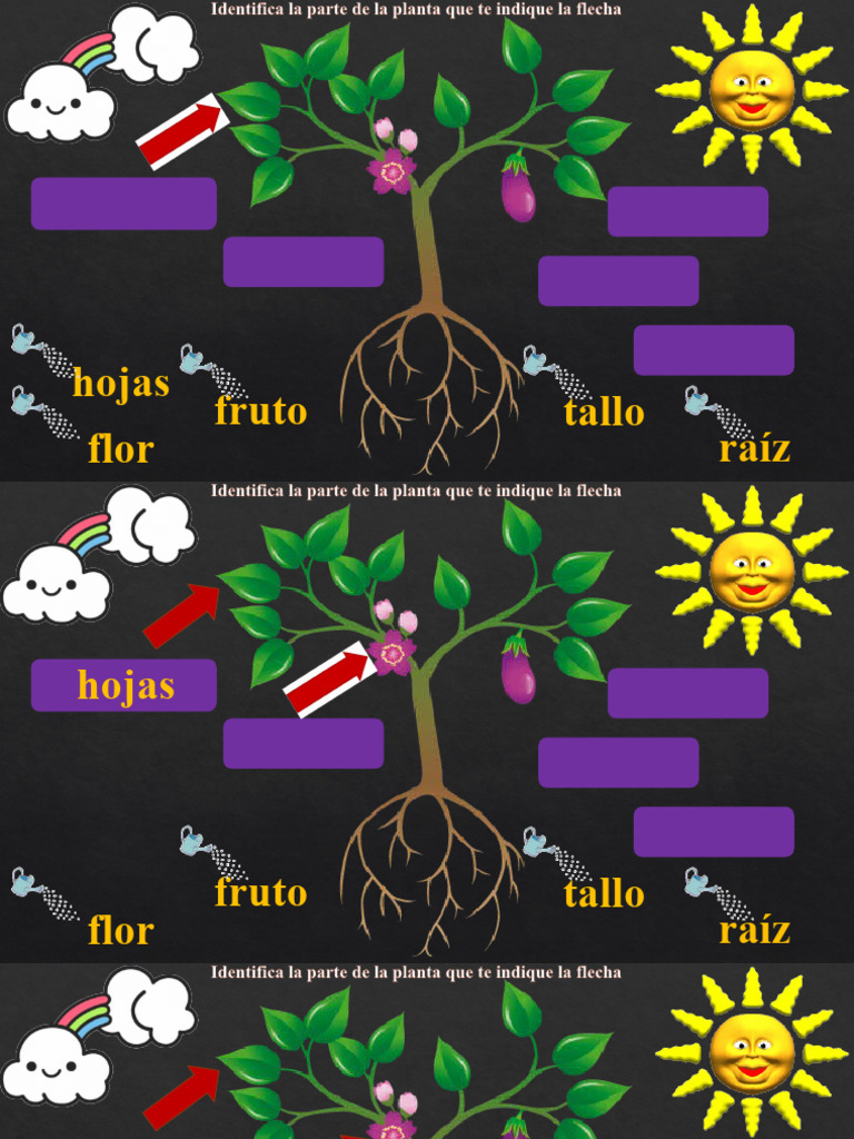 Las Plantas | PDF