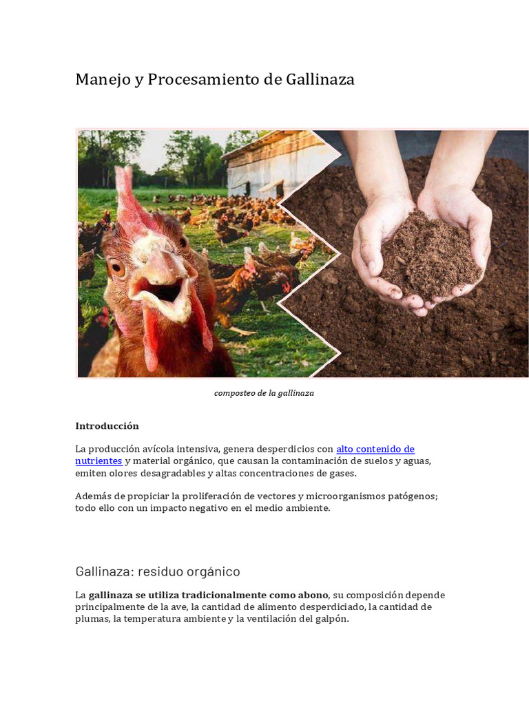Manejo de La Gallinaza | Descargar gratis PDF | Fertilizante