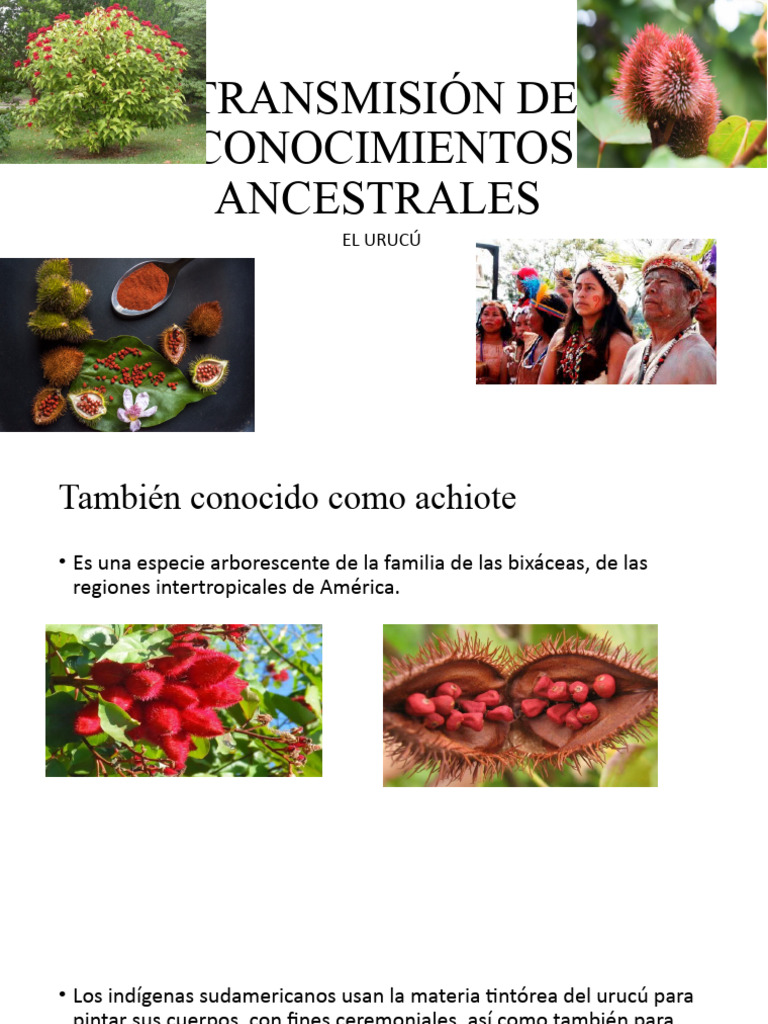 Transmisión de Conocimientos Ancestrales | PDF