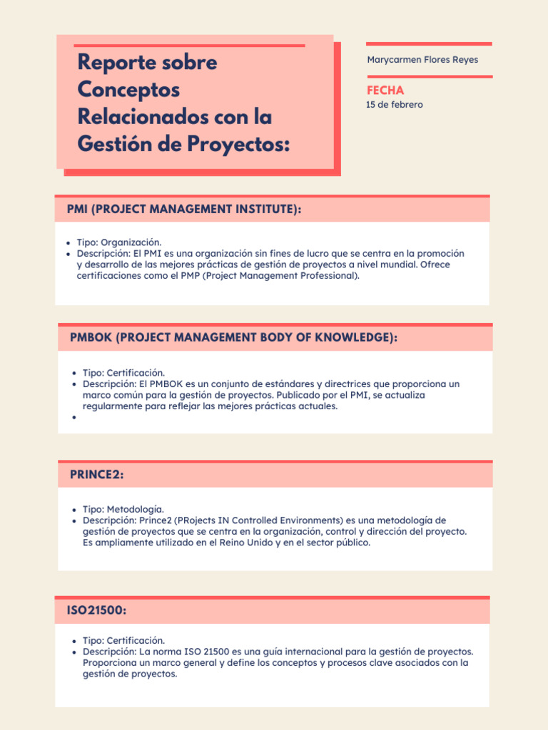 Reporte | PDF | Gestión de proyectos | Itil