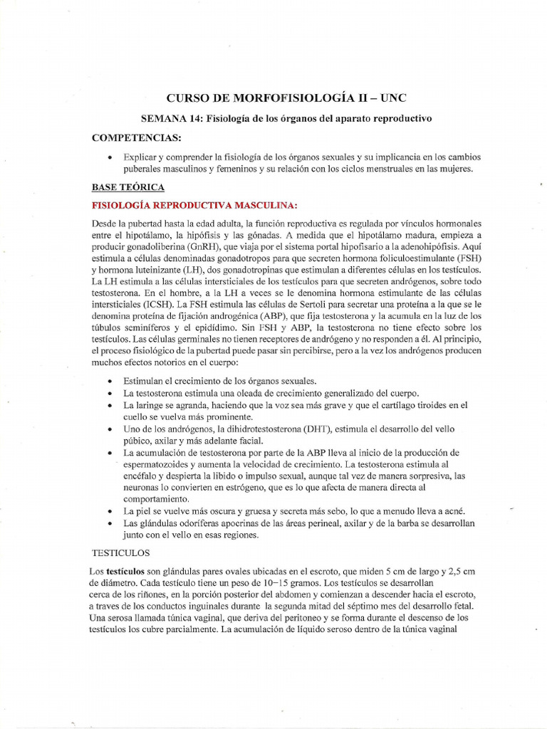 Fisiología Reproductora | PDF