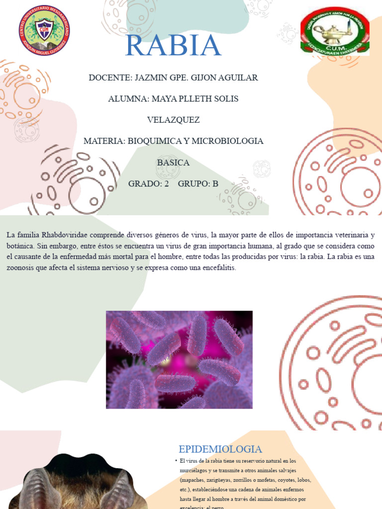 Expo. Rabia... | PDF | Rabia | Biología