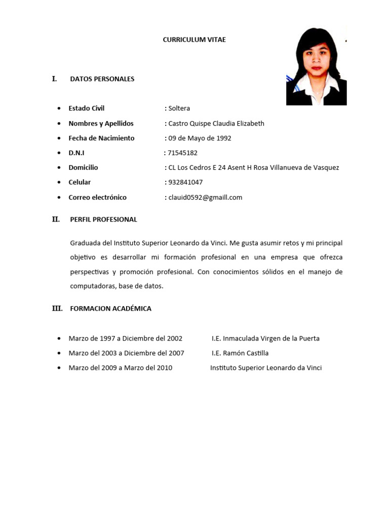 CV Claudia Castro | PDF | Informática