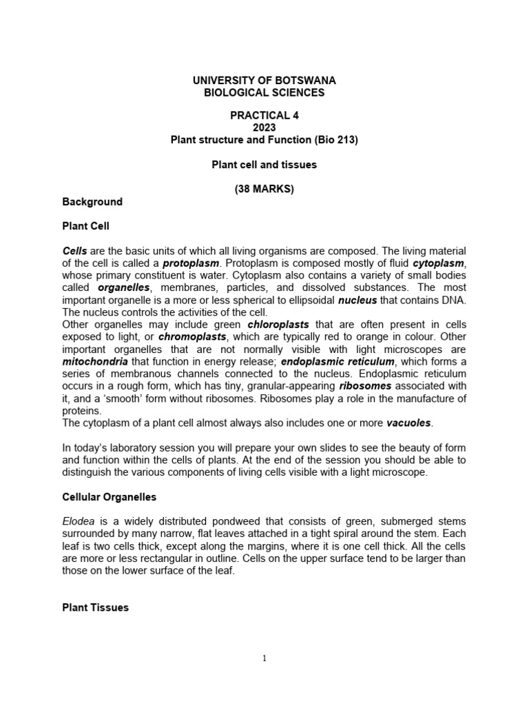 Plant Cell Structure & Function Lab | PDF | Tissue (Biology) | Botany