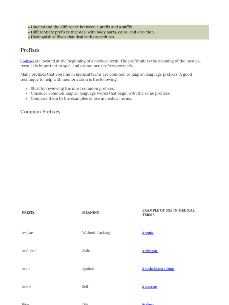 Understand The Difference Between A Prefix and A Suffix | PDF | Thorax ...