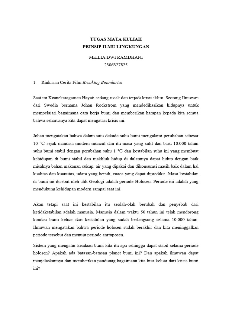 Review Film Breaking Boundaries | PDF