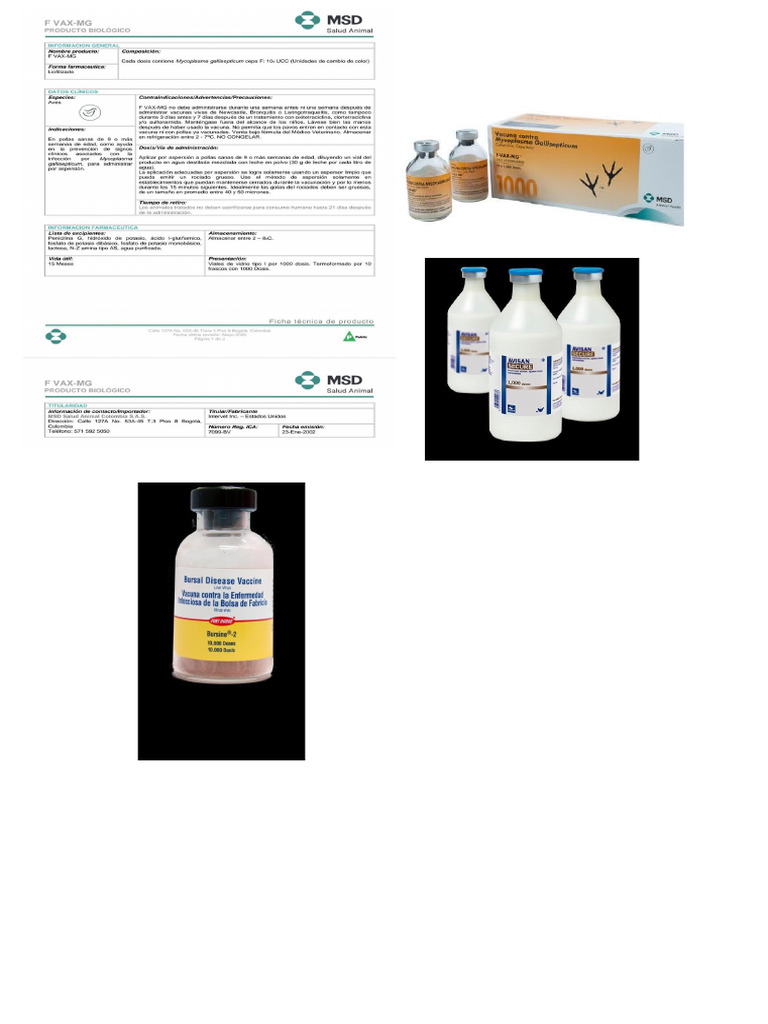 Imagenes y Bula | PDF