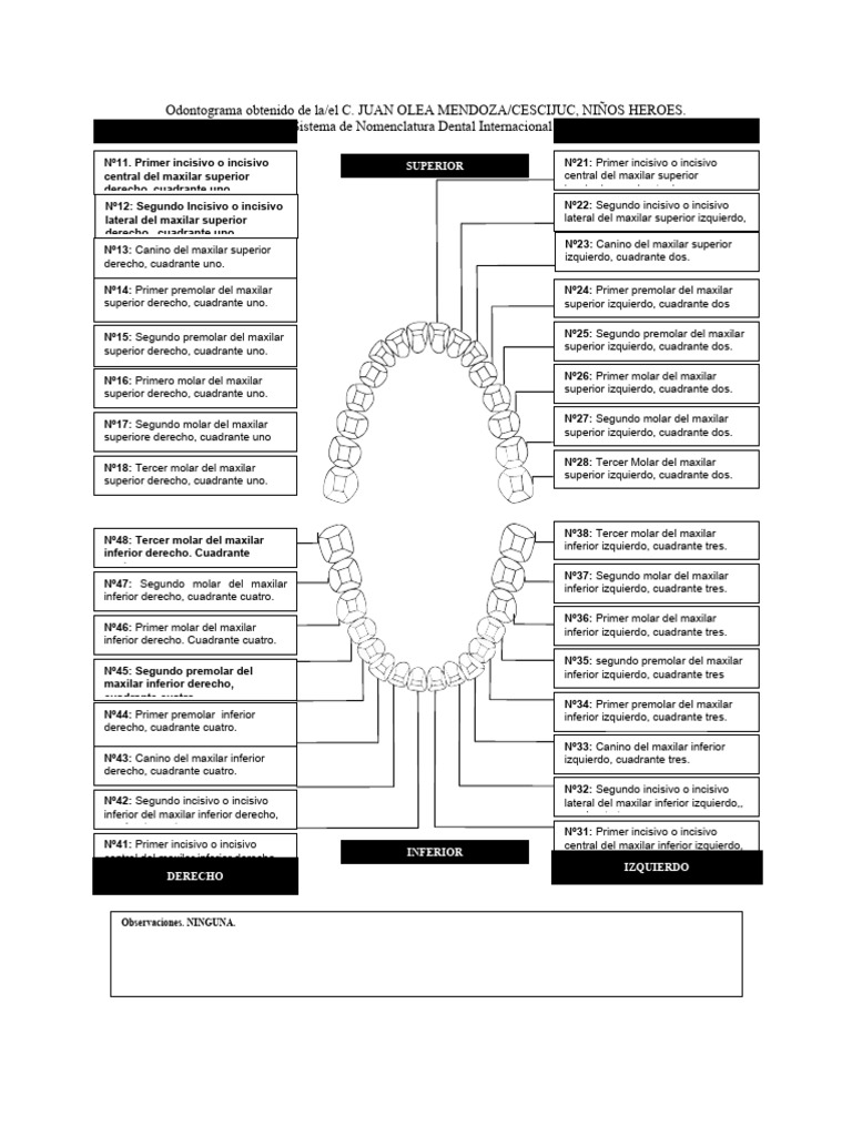 Odontograma Completo de Juan Olea | PDF | Ramas de Odontología | Boca