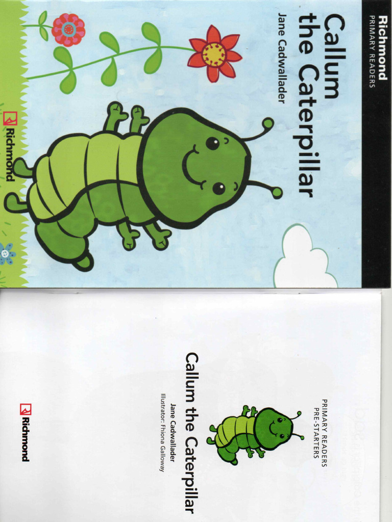 Callum The Caterpillar | PDF