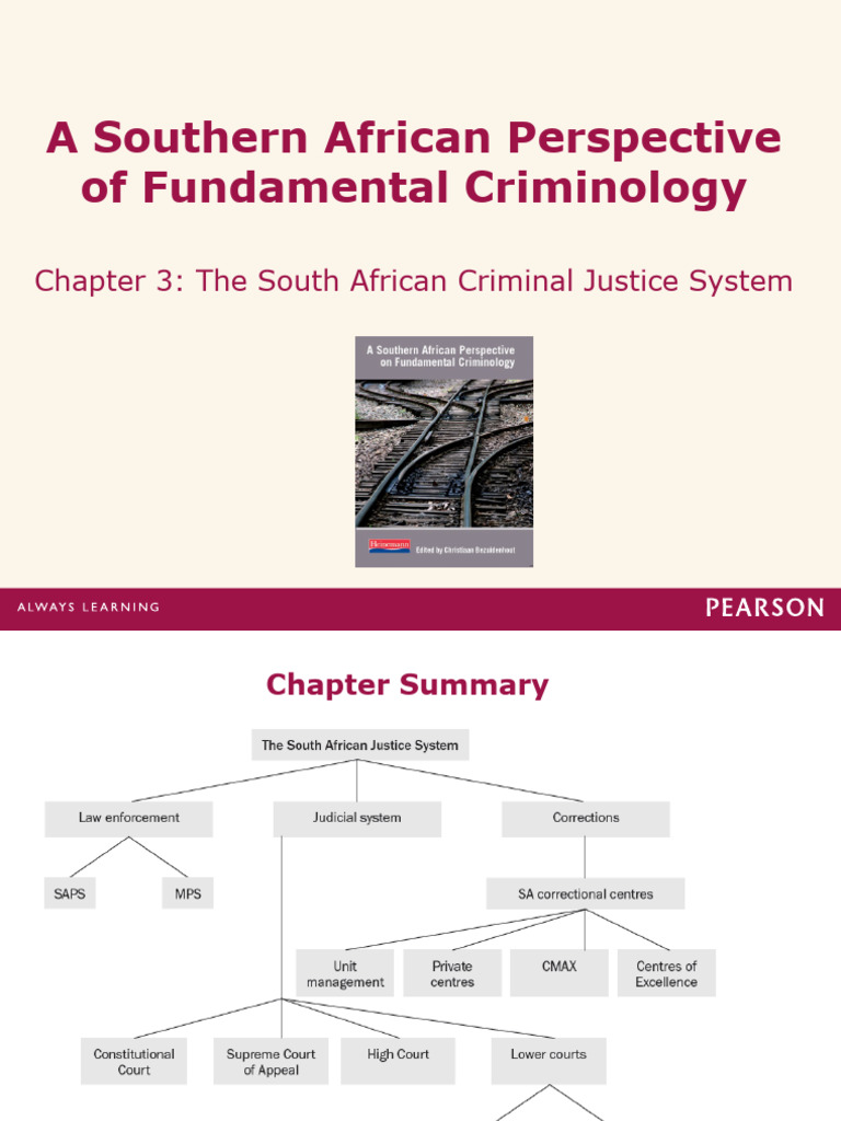 Theme 2 PowerPointSlides-1 | PDF | Crimes | Crime & Violence