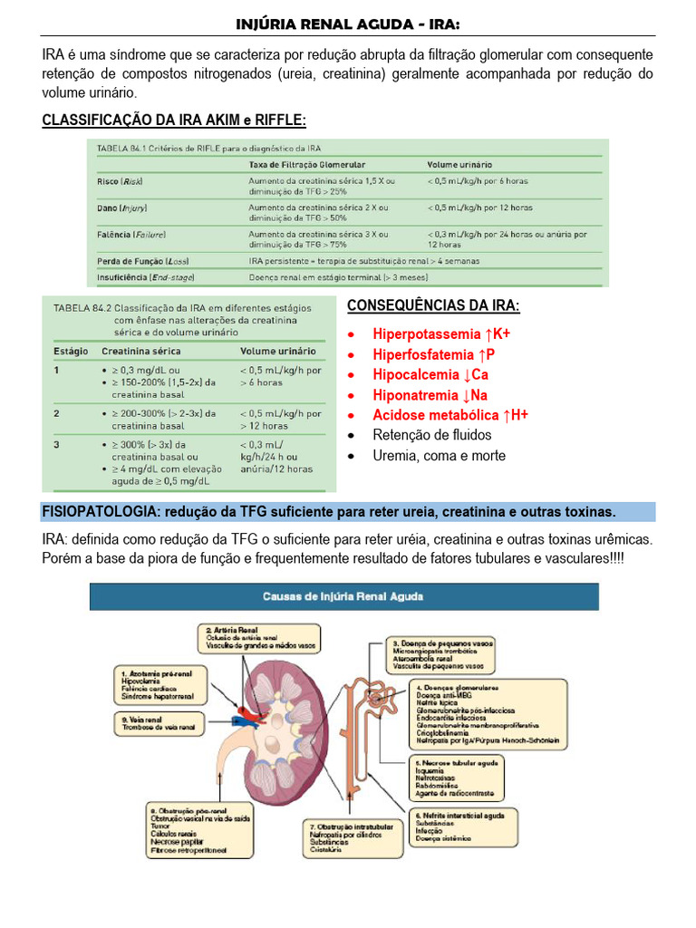 Injúria Renal Aguda | PDF | Sistema urinário | Rim