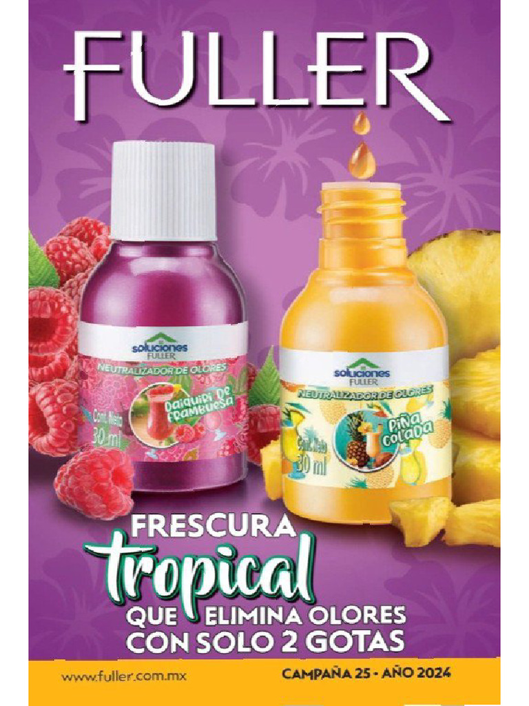 Fuller C25 - 2024 PDF | PDF