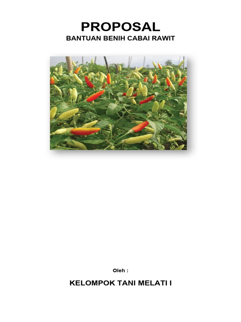 Proposal Bantuan Benih Cabai Rawit 2024 | PDF