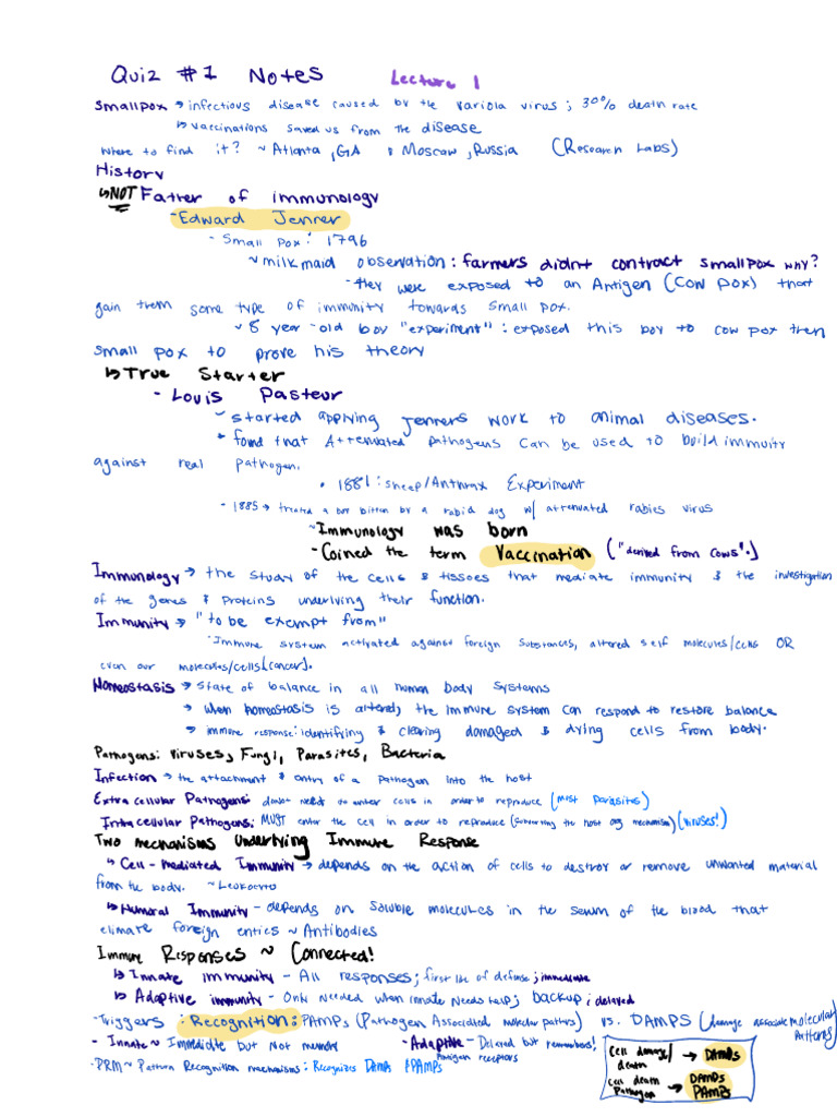 Module 1 Notes | PDF | Immune System | Adaptive Immune System