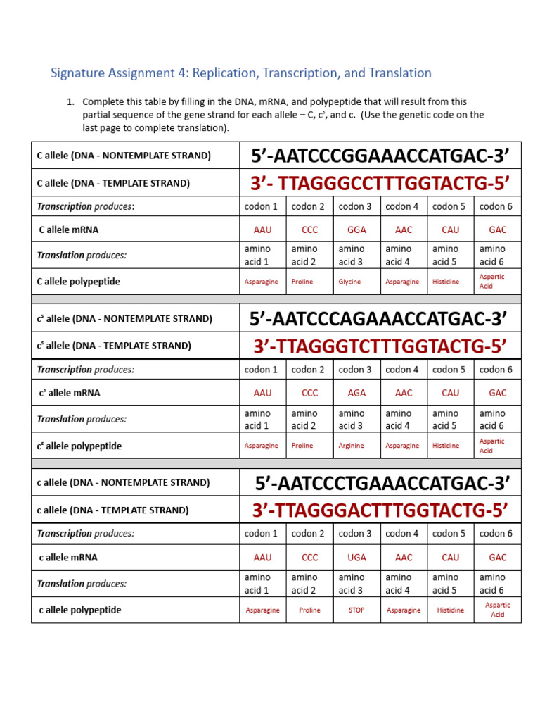 Signature Assignment 4 Central Dogma | PDF | Genetic Code | Amino Acid