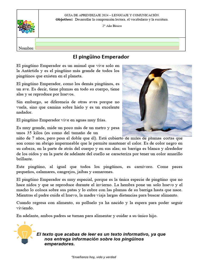 Pingüino Emperador: Datos para Niños | PDF | Pingüino | Aves