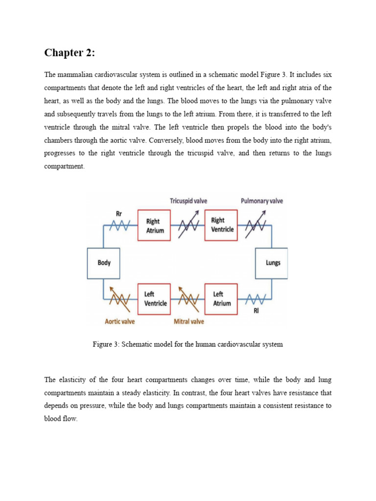CH2 | PDF | Heart Valve | Ventricle (Heart)