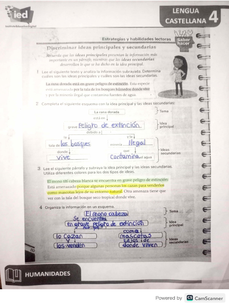 Tarea Lec 2 Lengua Castellana | PDF