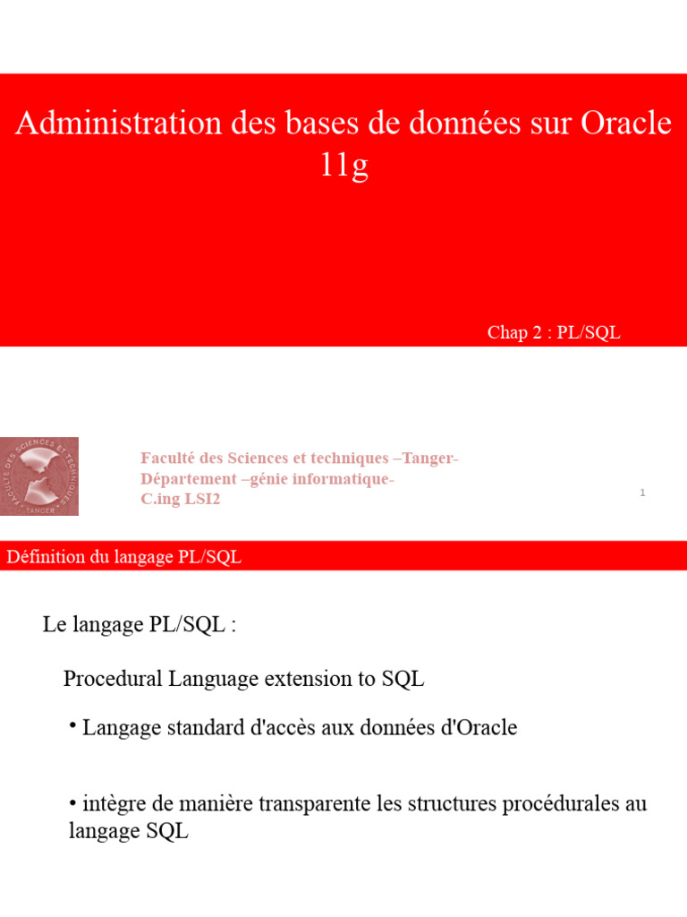 Lsi2plsql Pdf Plsql Sql 