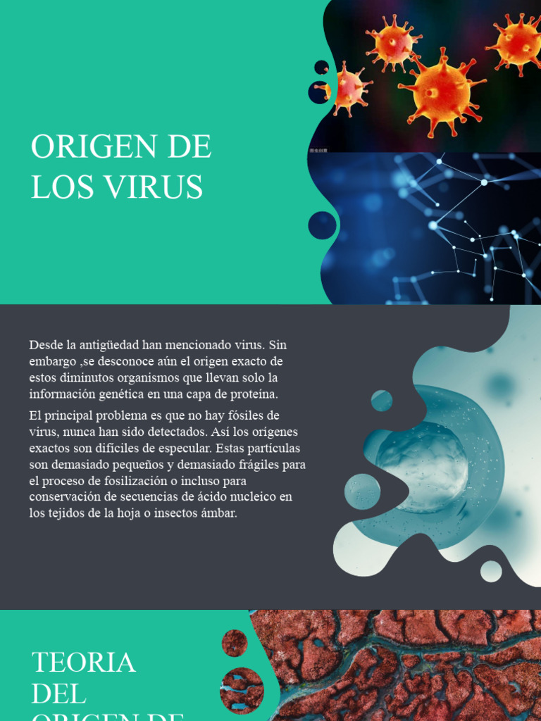 Origen y clasificación de los virus | PDF | Virus | Bacteriófago
