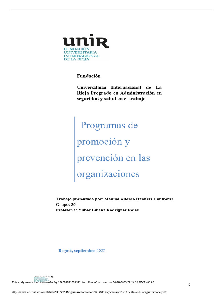 Programas de Promoci N y Prevenci N en Las Organizaciones PDF | PDF