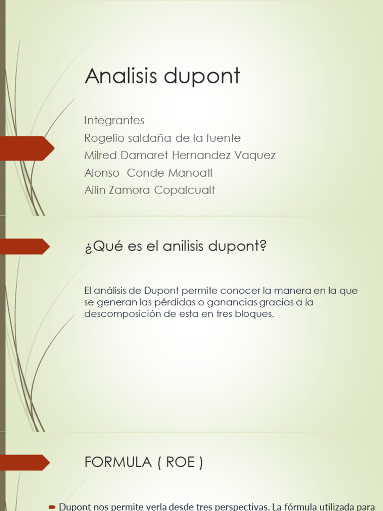 analisis dupont | PDF