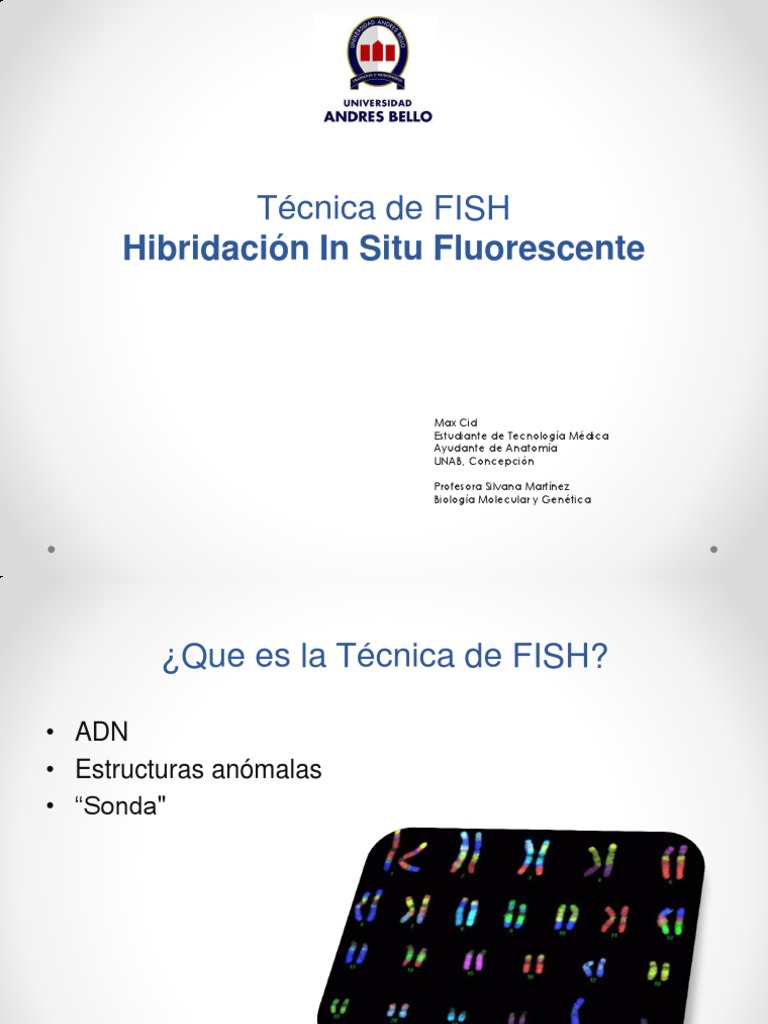 Técnica de FISH | PDF | Hibridación in situ fluorescente | Hibridación ...