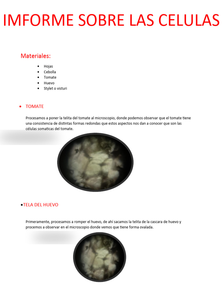 Imforme | PDF | Ciencia y matemáticas