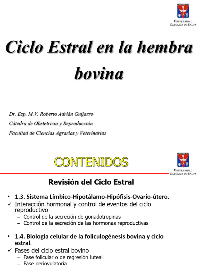 2.CLASE Ciclo Estral SALTA - 2022 | PDF | Hormona luteinizante | Sistema endocrino