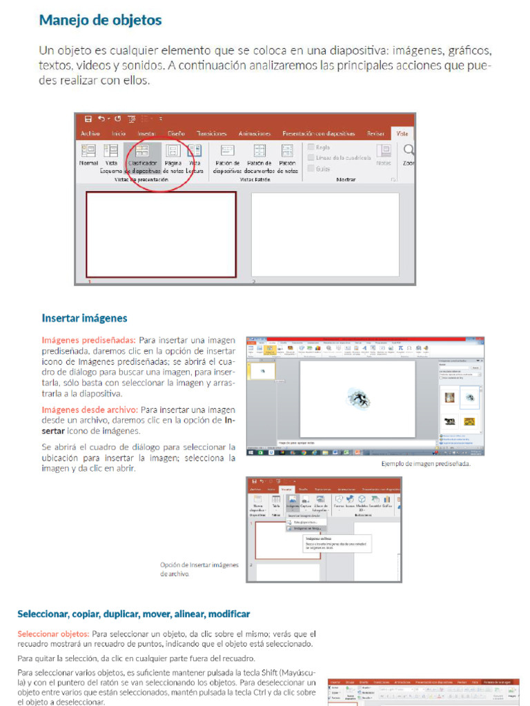 L2. MANEJO DE OBJETOS | PDF