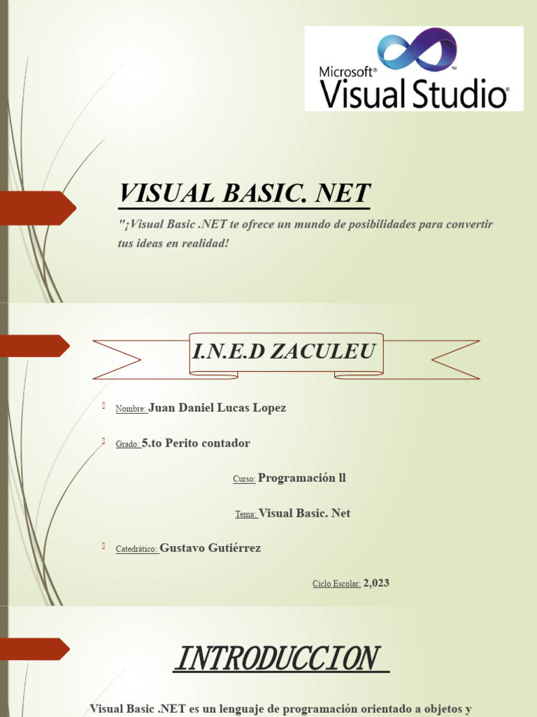 Visual Basic Diap. | PDF | .NET Framework | Ingeniería Informática