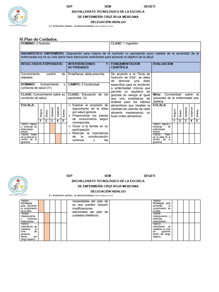 Plan de Cuiado 2 | PDF | Enfermería | Dieta
