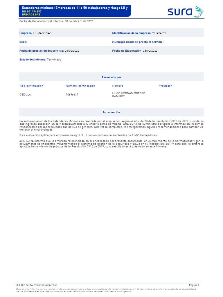 Estándares Mínimos (Empresas de 11 A 50 Trabajadores y Riesgo I, II y III) - Informe Dinámico ...