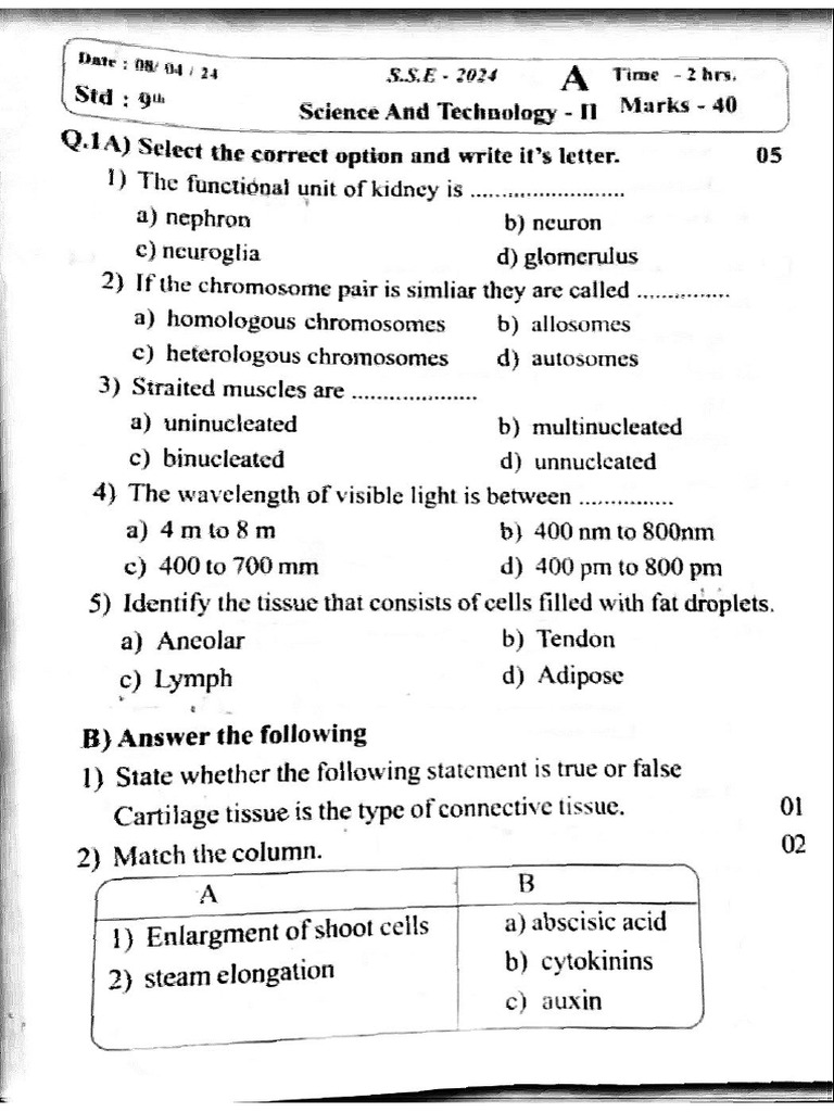 Science 2 9th 2nd Semester Exam Questions Paper 2024?? | PDF