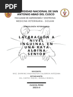 Anatomía y Cuidado de la Rata Wistar | PDF