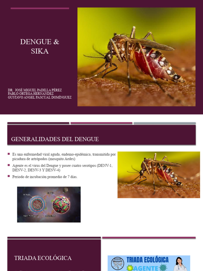 Dengue | PDF | Medicina | Salud pública