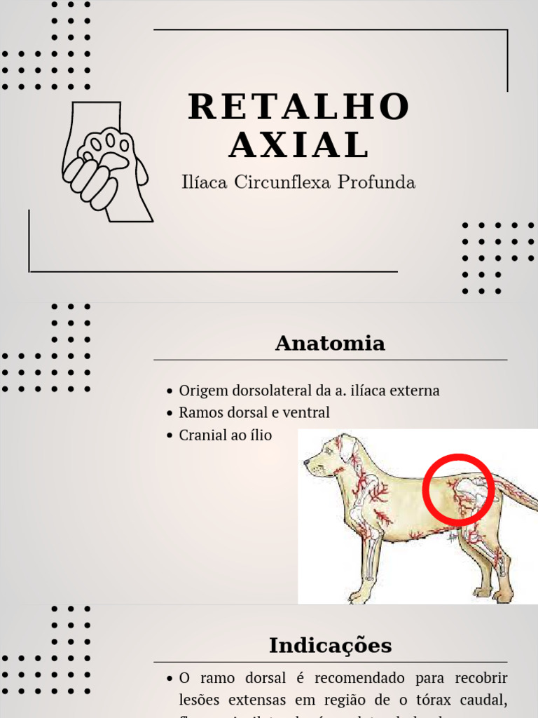 Retalho Axial | PDF | Anatomia