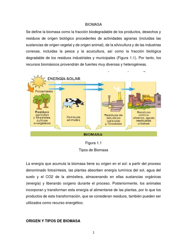 Biomasa X | PDF | Biocombustible | Digestión anaeróbica
