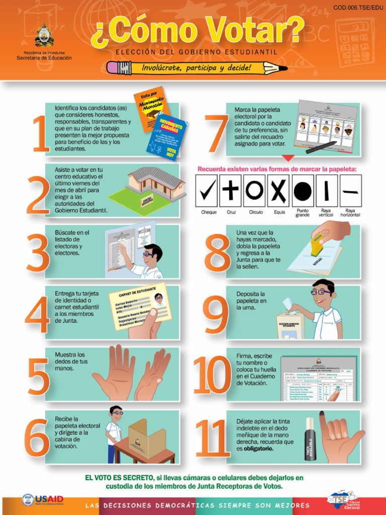 AFICHE COMO VOTAR | PDF