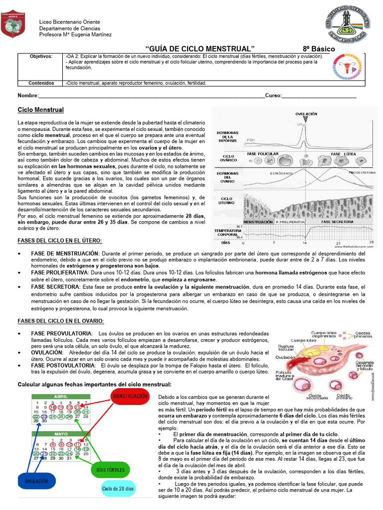 8° Guía Ciclo Menstrual FINAL | PDF | Ciclo menstrual | Ovario