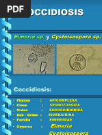 02 Protozoarios Eimeria | PDF | Diarrea | Microbiología