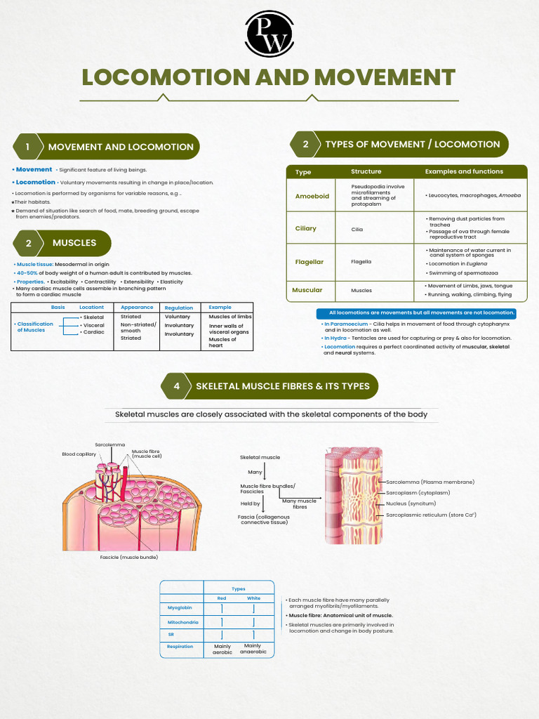 65df49cf15576f0018b962f0_##_Locomotion and Movement Mind Maps | PDF ...