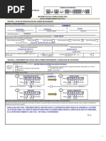 Llenado Iph-1 Guia | PDF | México | Seguridad nacional